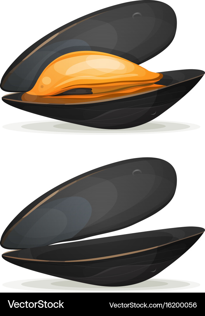 Mussels Royalty Free Vector Image - VectorStock