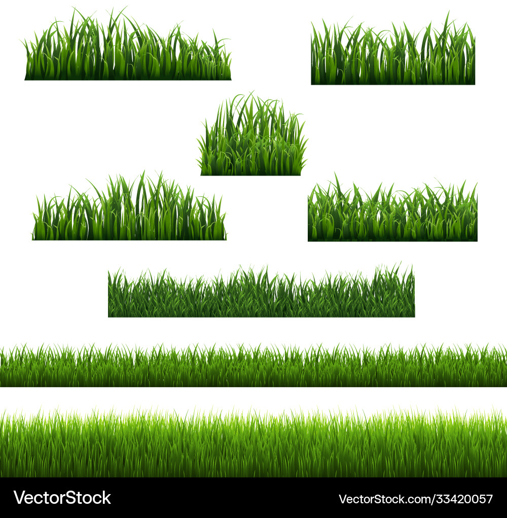 Green grass frames white background Royalty Free Vector