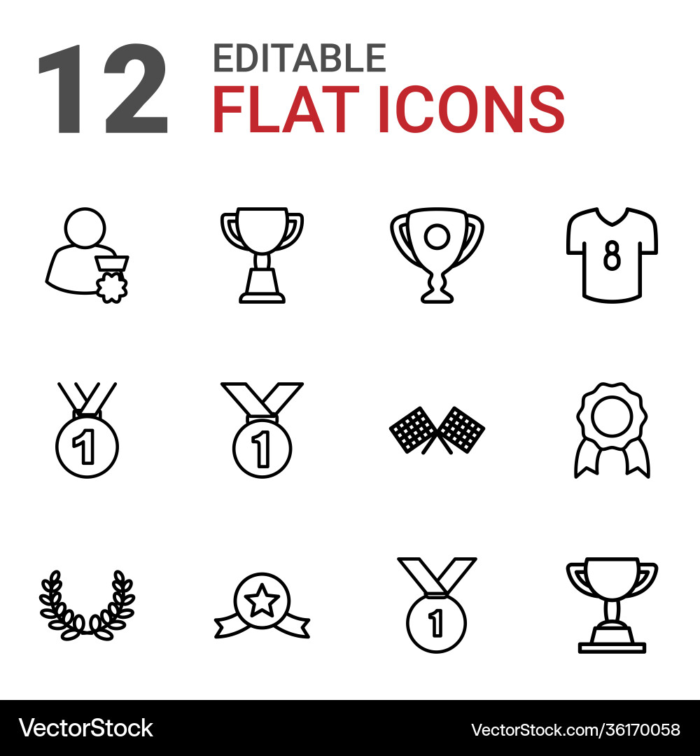 12 Champion-Icons Lizenzfreies Vektorbild - VectorStock