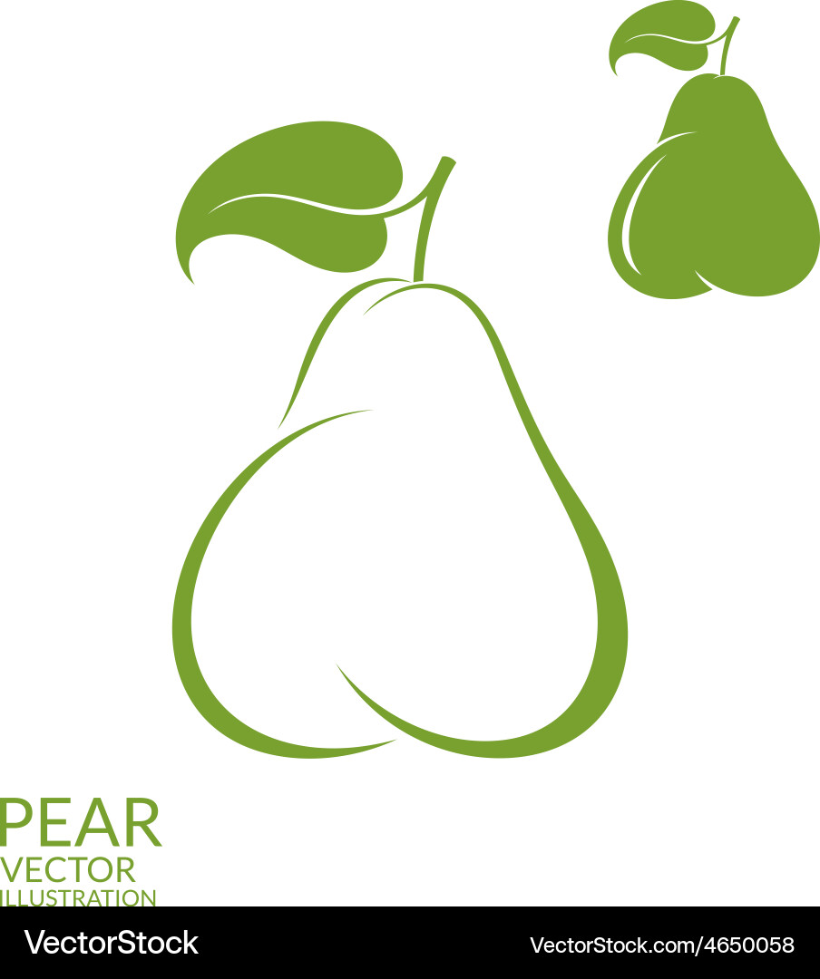 Green pear Royalty Free Vector Image - VectorStock