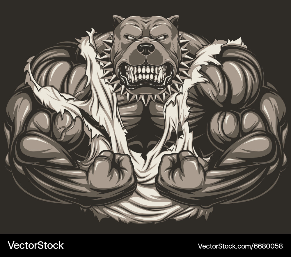 Muscular Pitbull Bodybuilder Royalty Free Vector Image