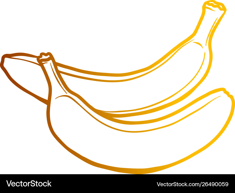 Bananas black and color gradient outline Vector Image