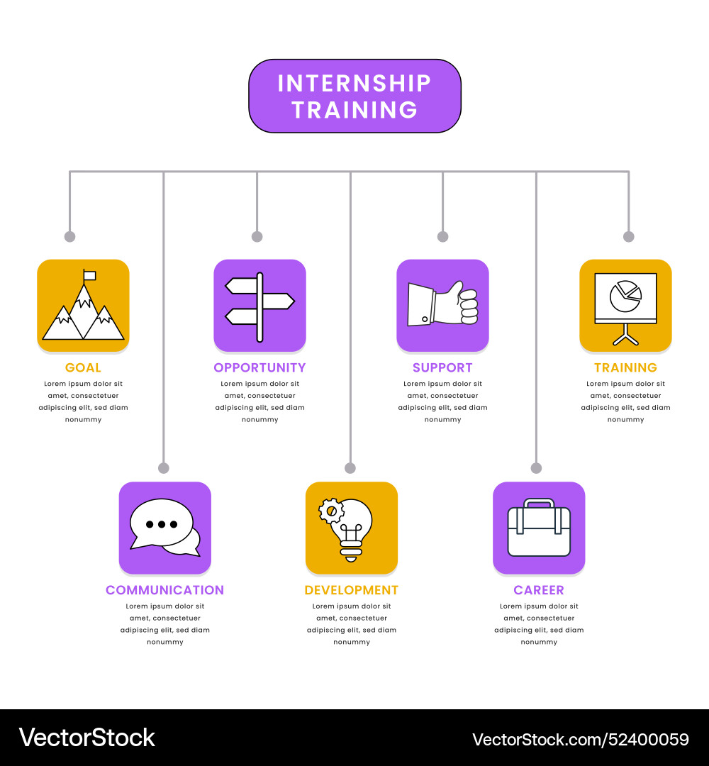 Internship training infographic Royalty Free Vector Image