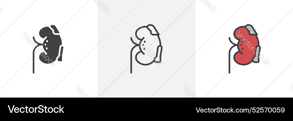 Kidney disease icon set on white background Vector Image