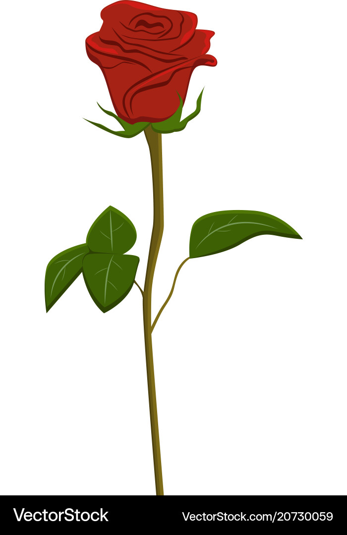 Red Rose Clip Art Royalty Free Vector Image - VectorStock