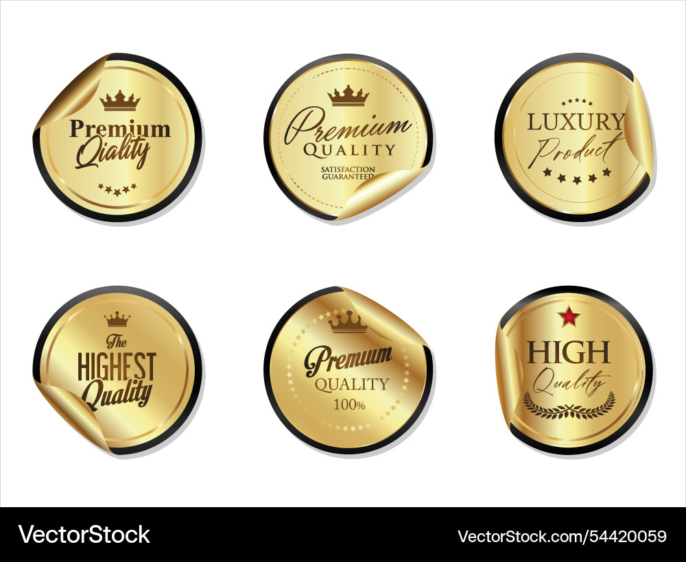 Vip and premium emblem black gold isolated Vector Image