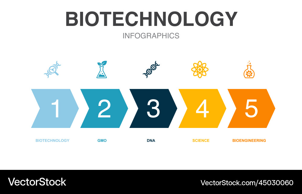Biotechnology icons infographic design template Vector Image