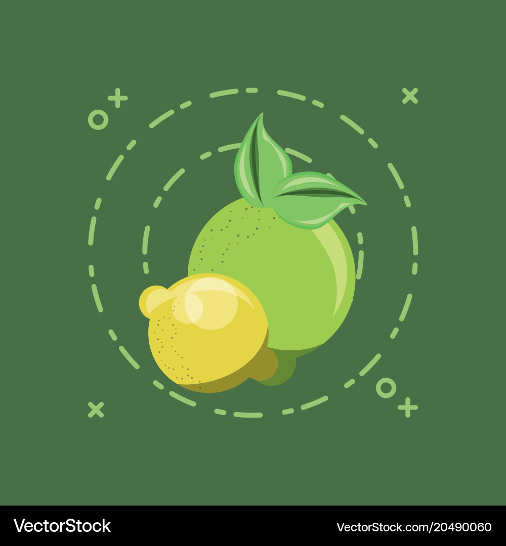 Citric fruits design Royalty Free Vector Image