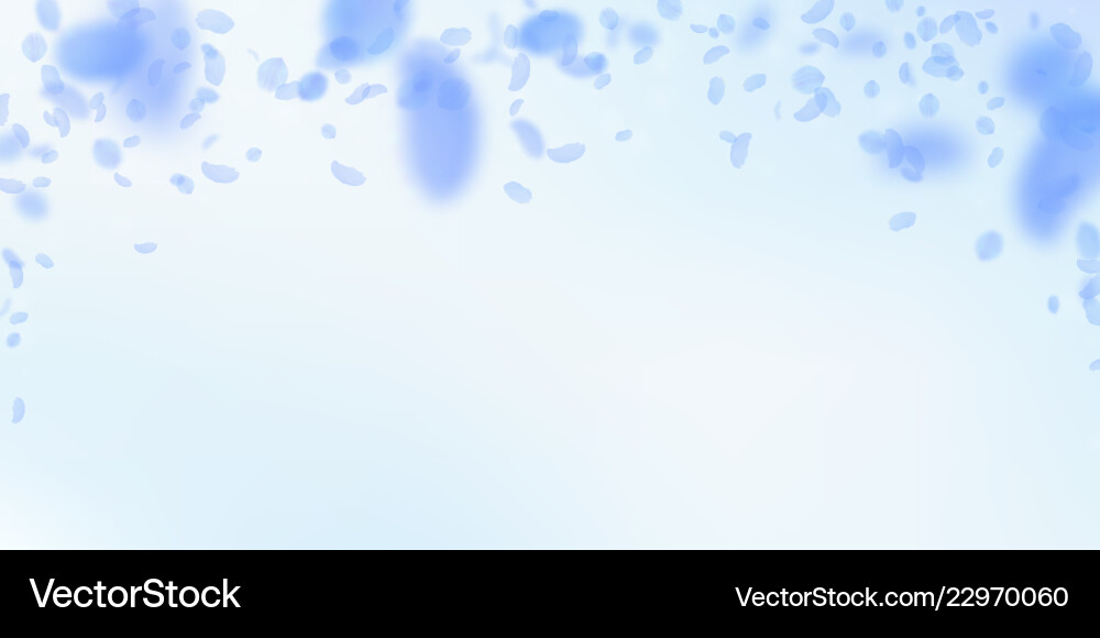 Dark blue flower petals falling down mesmeric rom Vector Image