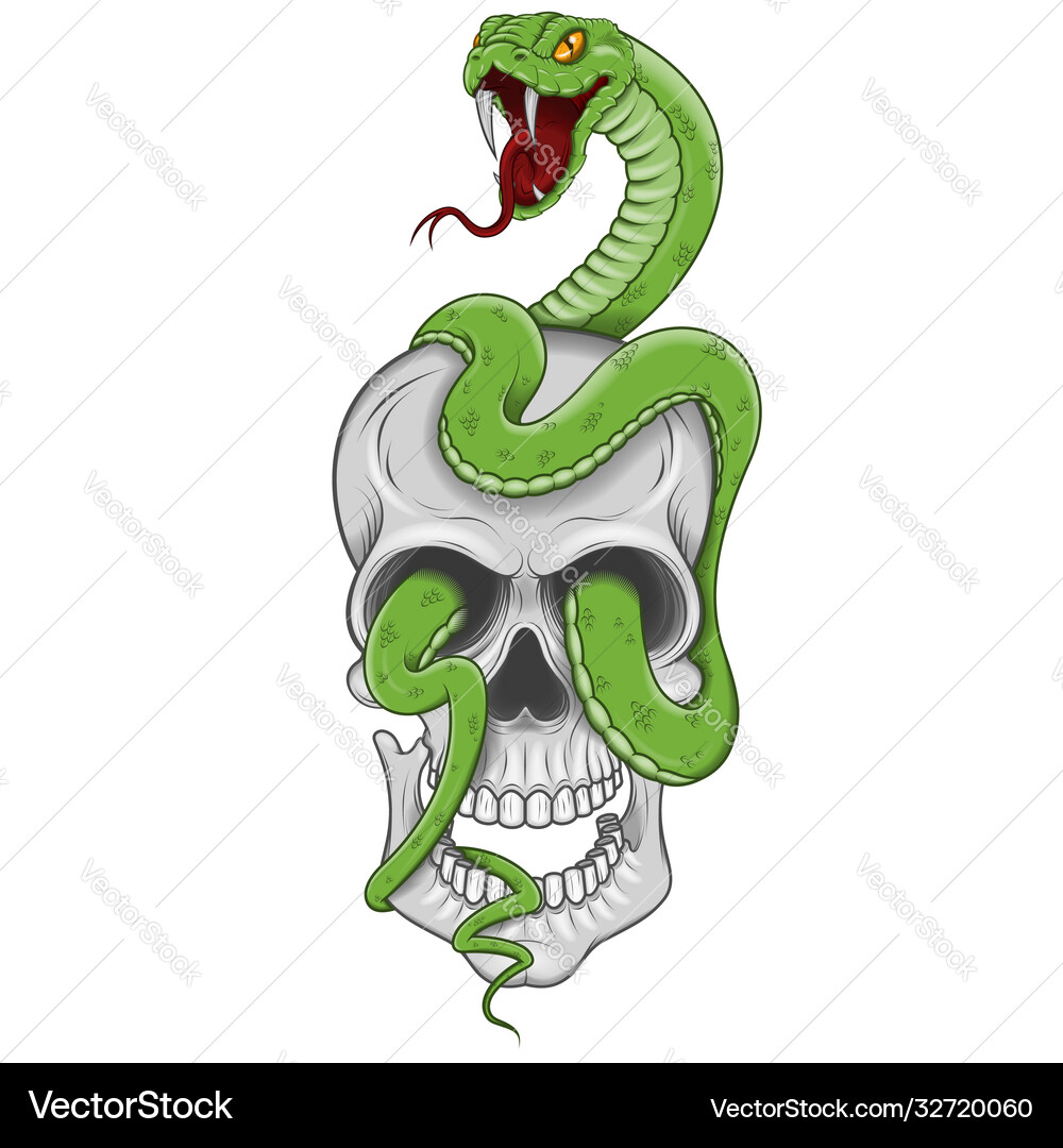 Design skull with snake Royalty Free Vector Image