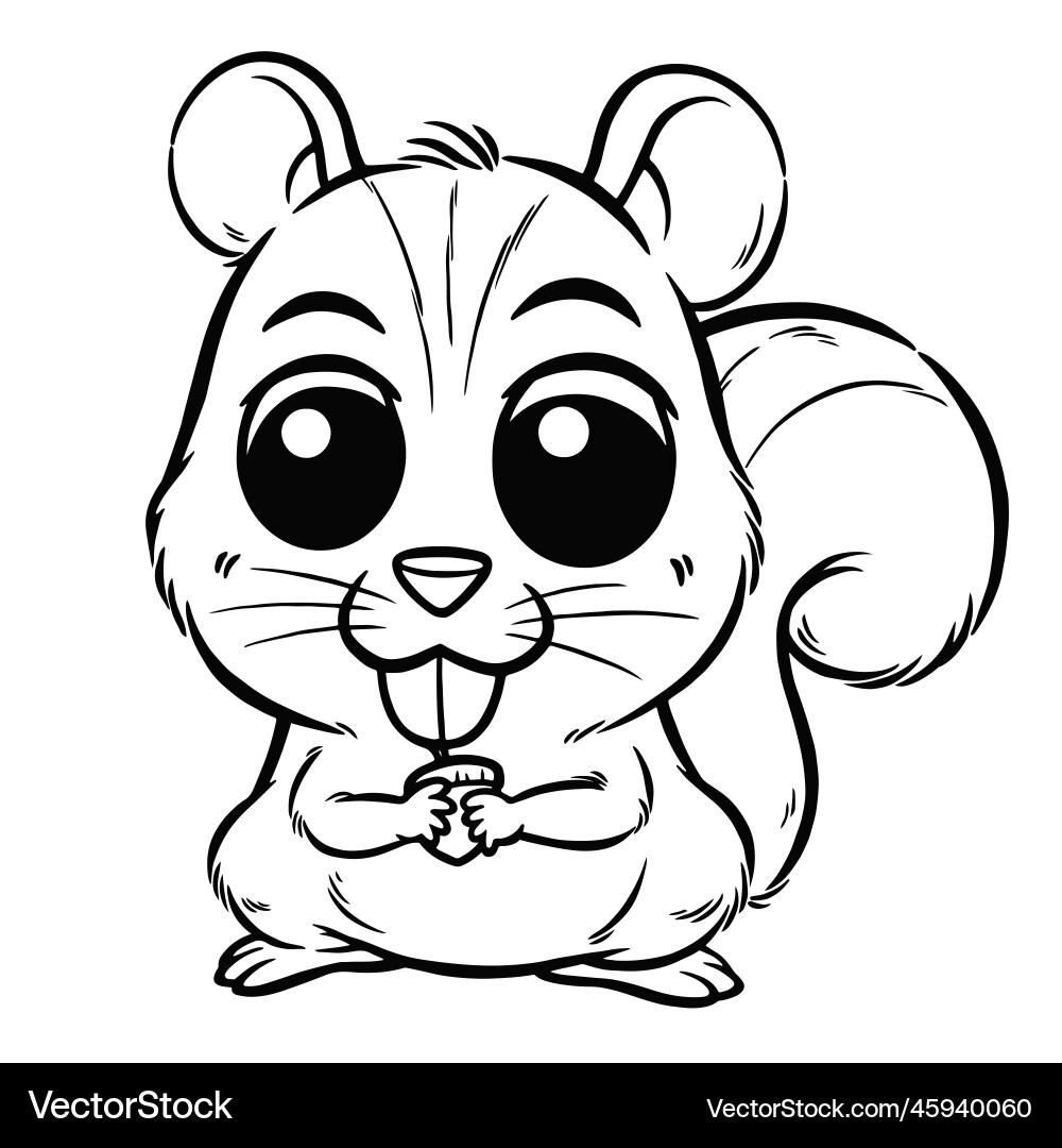 Squirrel Royalty Free Vector Image - VectorStock