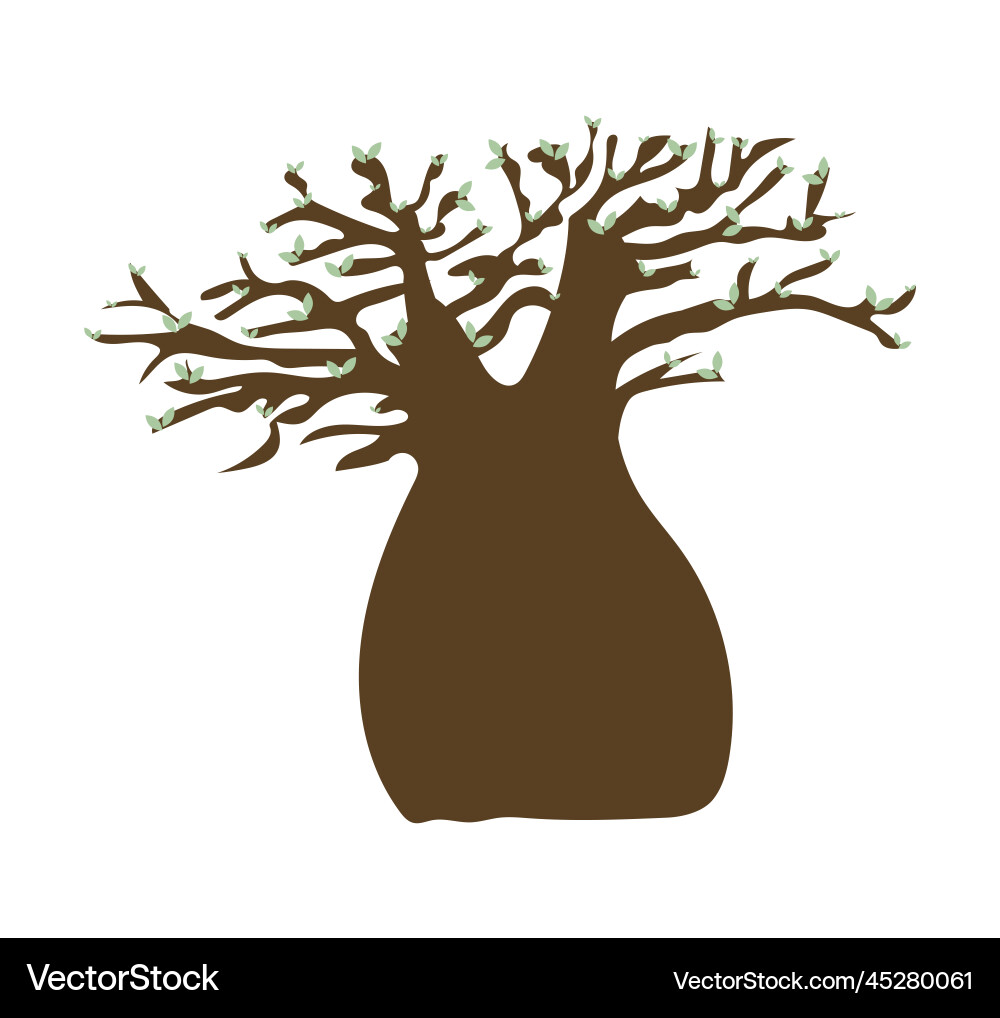 Baobab tree with huge trunk and small branches Vector Image
