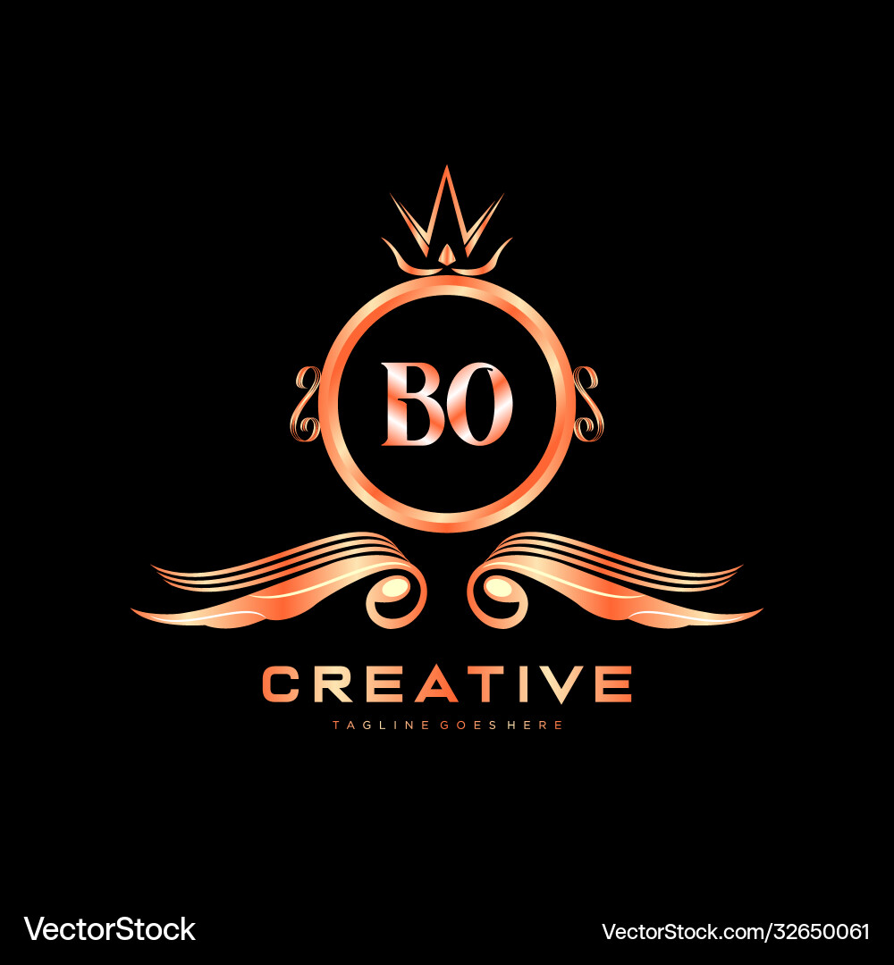 Bo initial logo with colorful circle template Vector Image