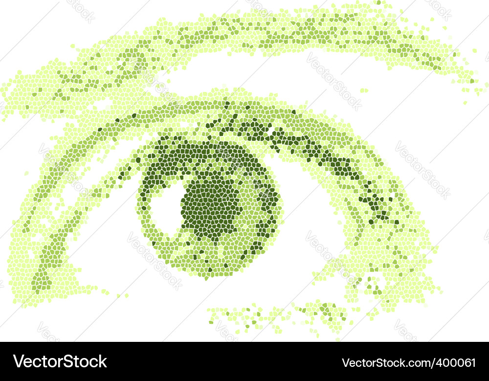 Eye Royalty Free Vector Image - VectorStock