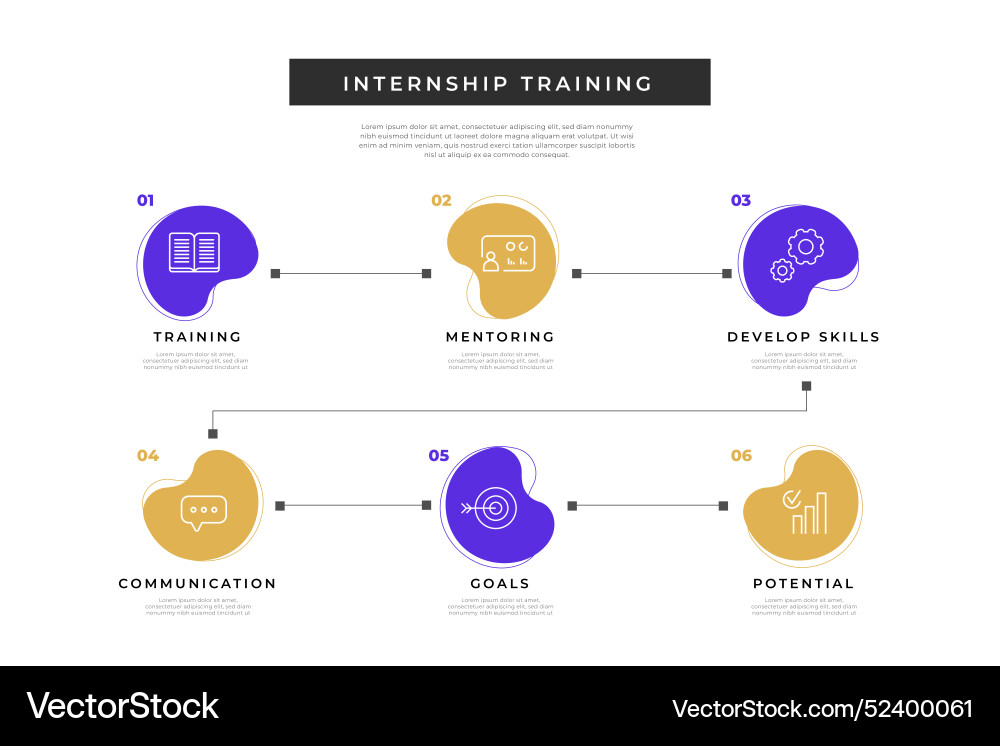 Internship training infographic Royalty Free Vector Image