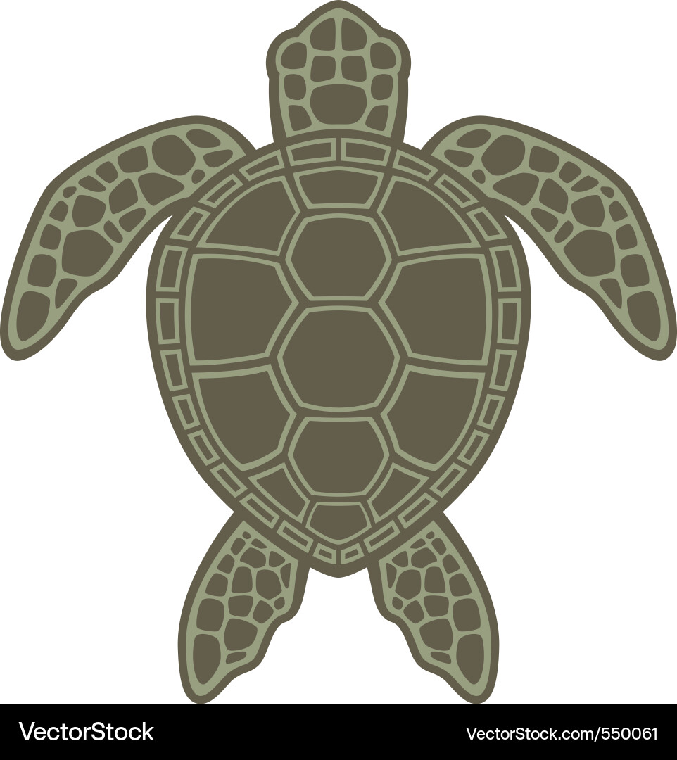 Sea turtle Royalty Free Vector Image - VectorStock