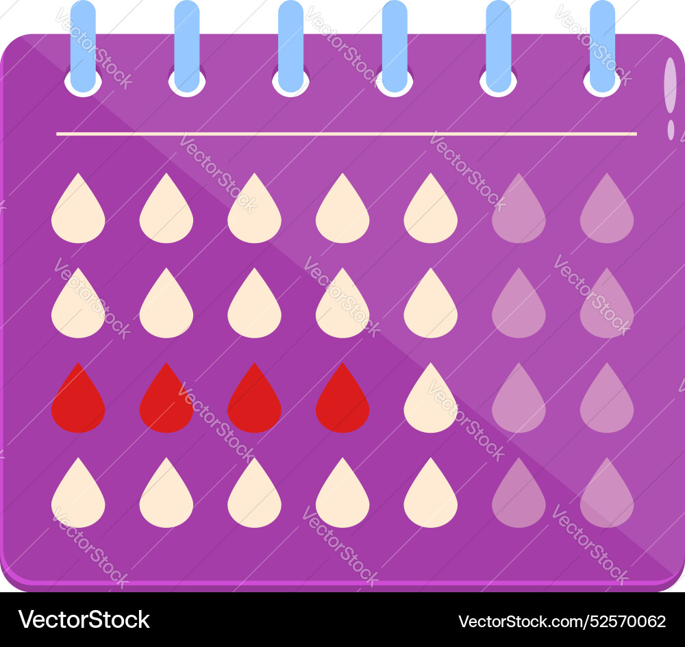 Menstrual cycle calendar showing menstruation Vector Image
