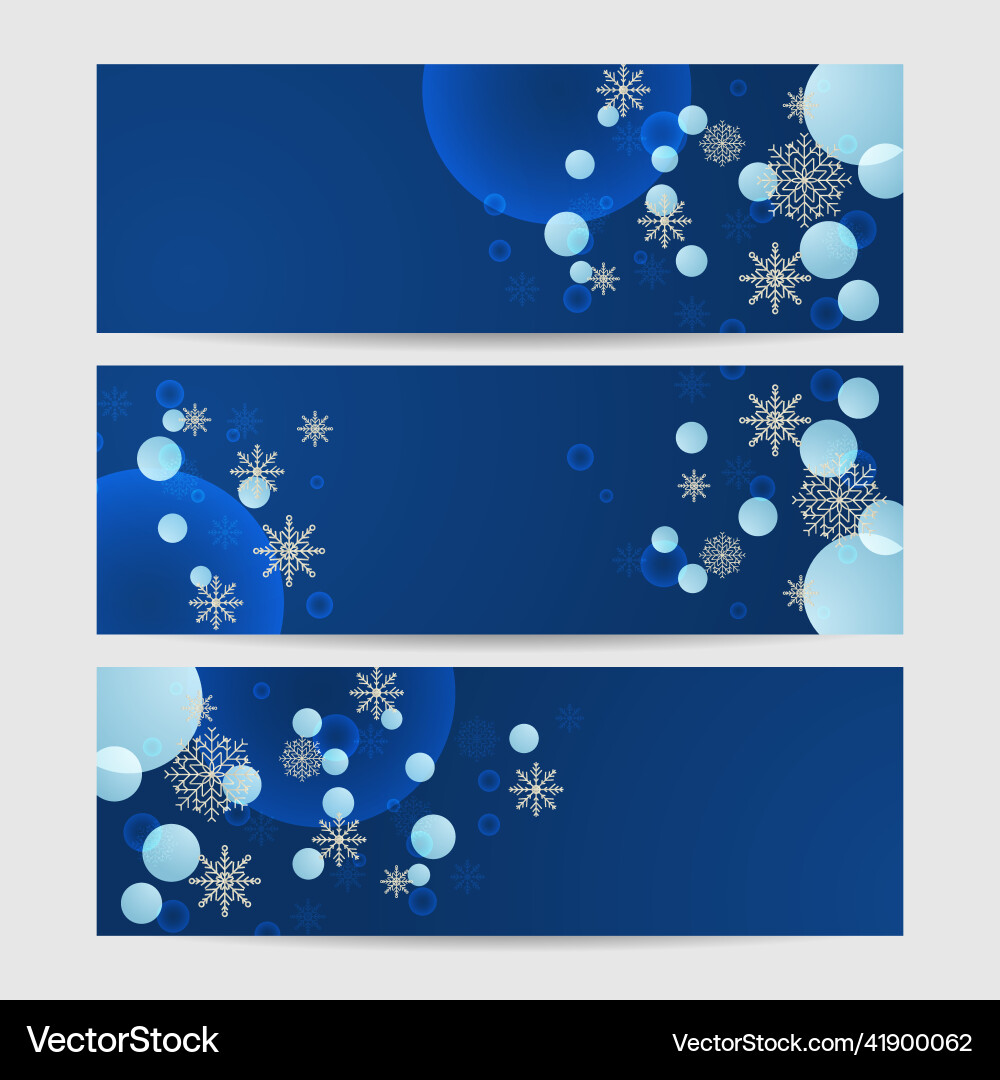 Winter blue snowflake design template banner Vector Image