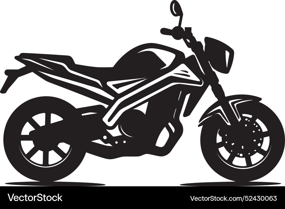 Detailed bike rider pose Royalty Free Vector Image