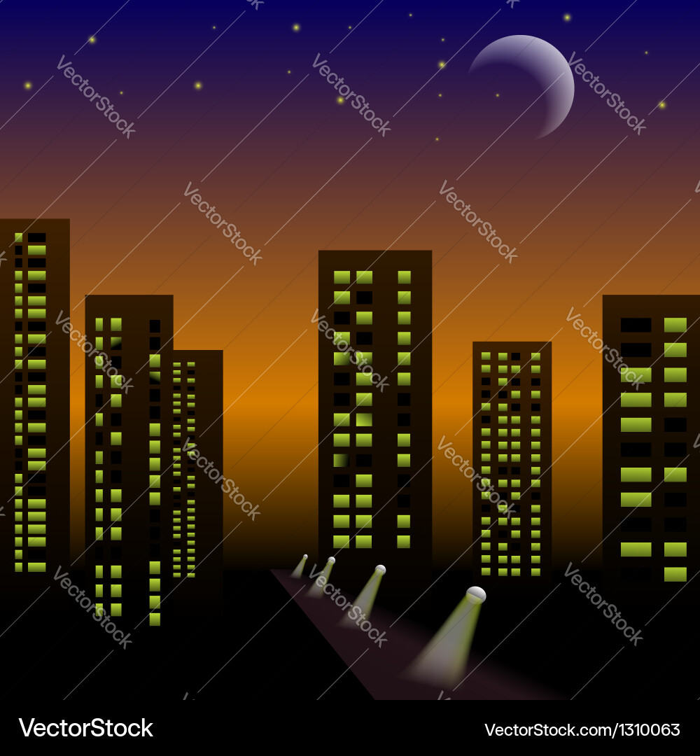 Night city Royalty Free Vector Image - VectorStock