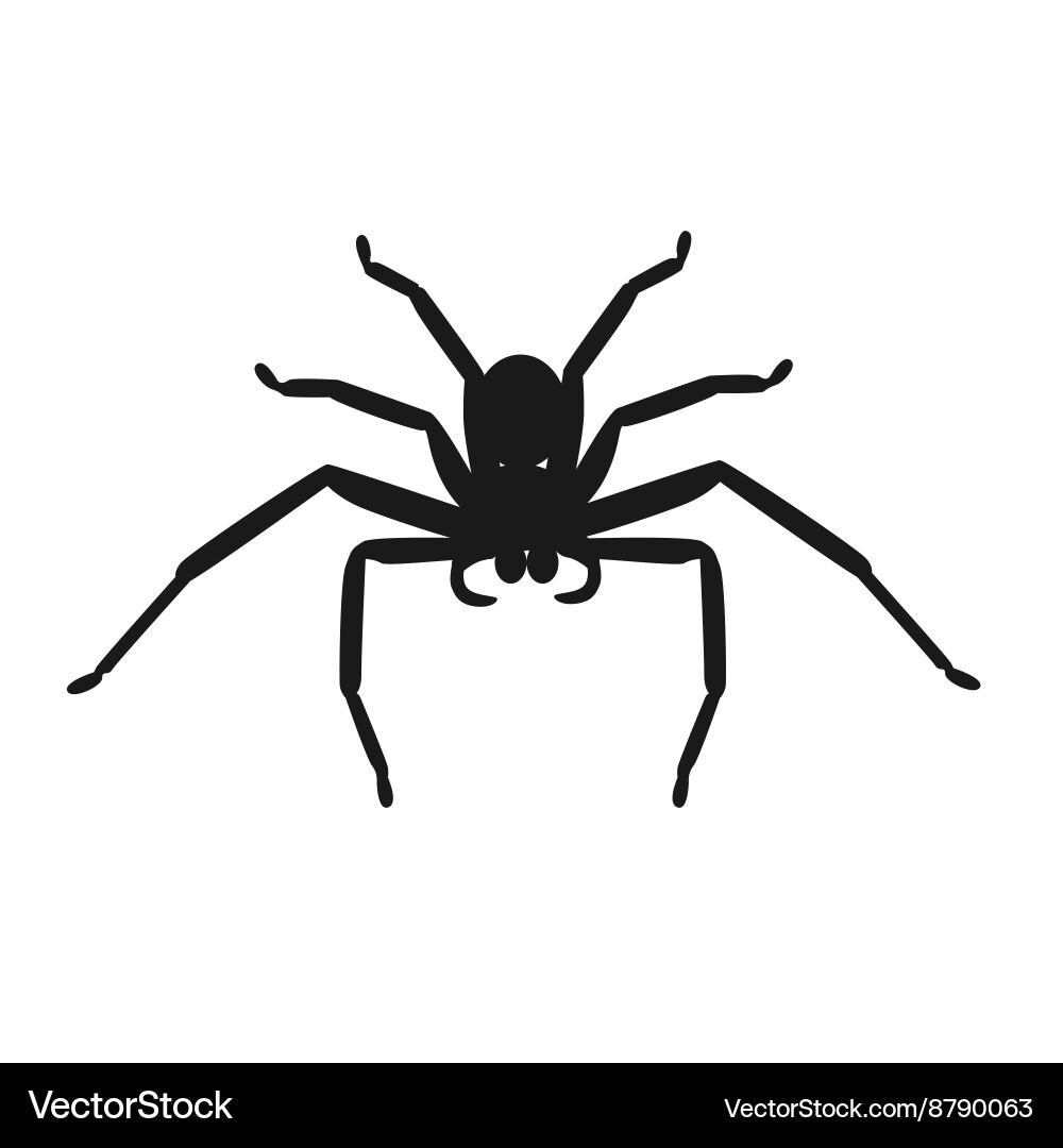 Spider icon Royalty Free Vector Image - VectorStock
