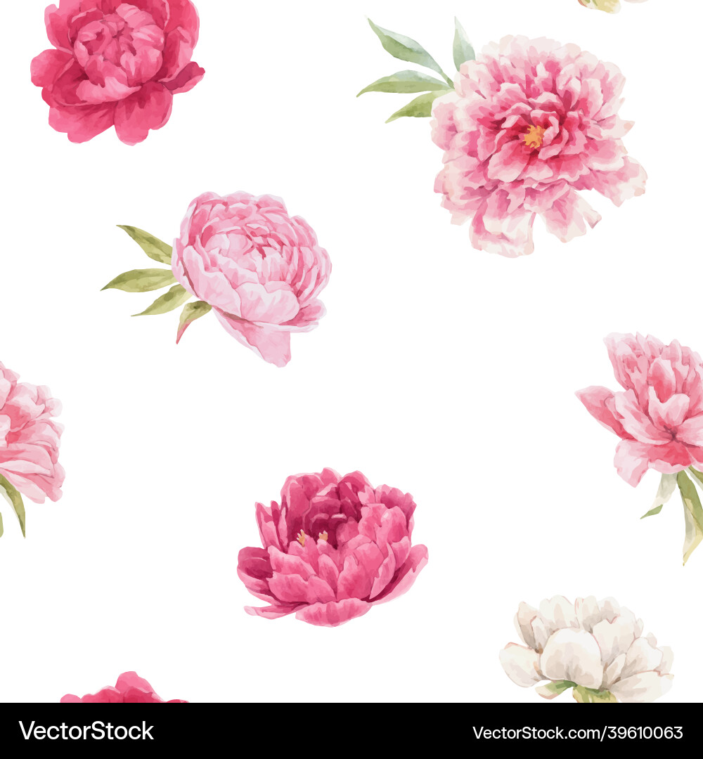 Watercolor Peony Seamless Floral Pattern Vector Image