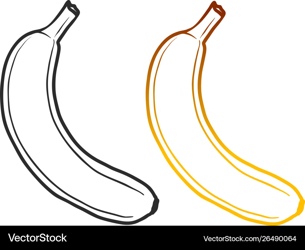 Bananas black and color gradient outline Vector Image