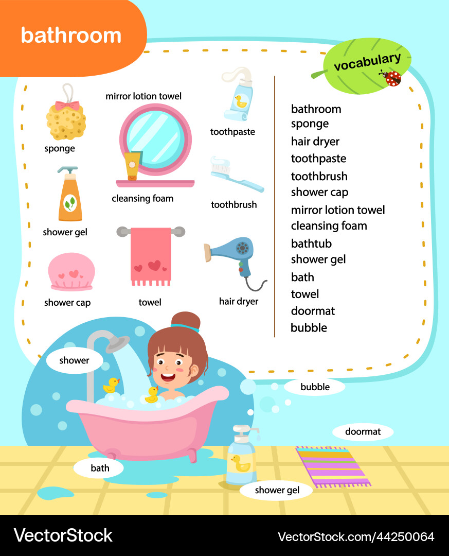 Education vocabulary bathroom Royalty Free Vector Image