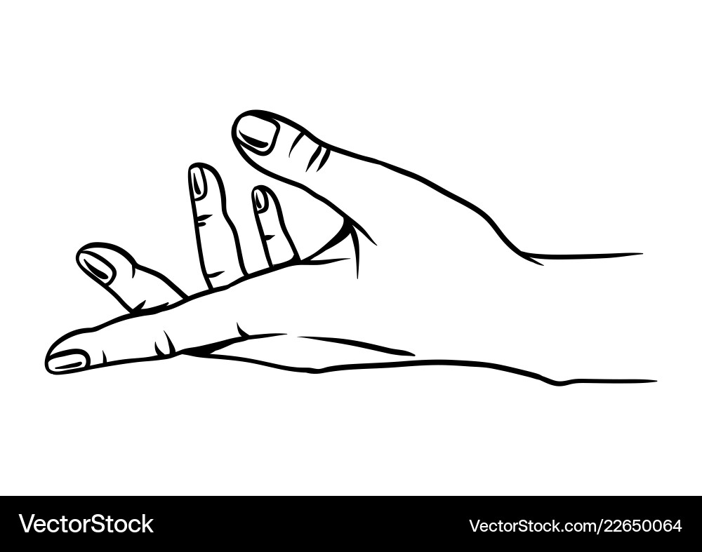 Human hand Royalty Free Vector Image - VectorStock