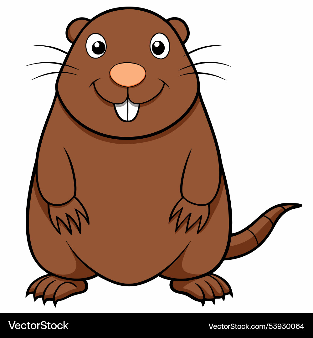 Rodents animal flat on white background Royalty Free Vector