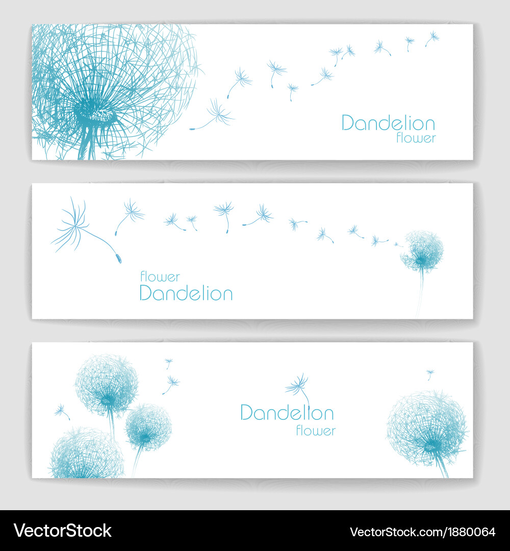 Set of banners with flower dandelion sketch Vector Image