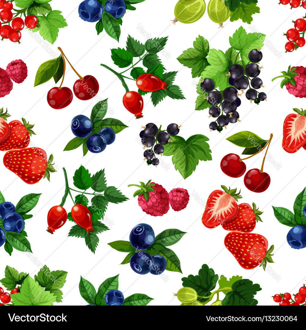 Wild Berry Seamless Pattern Royalty Free Vector Image