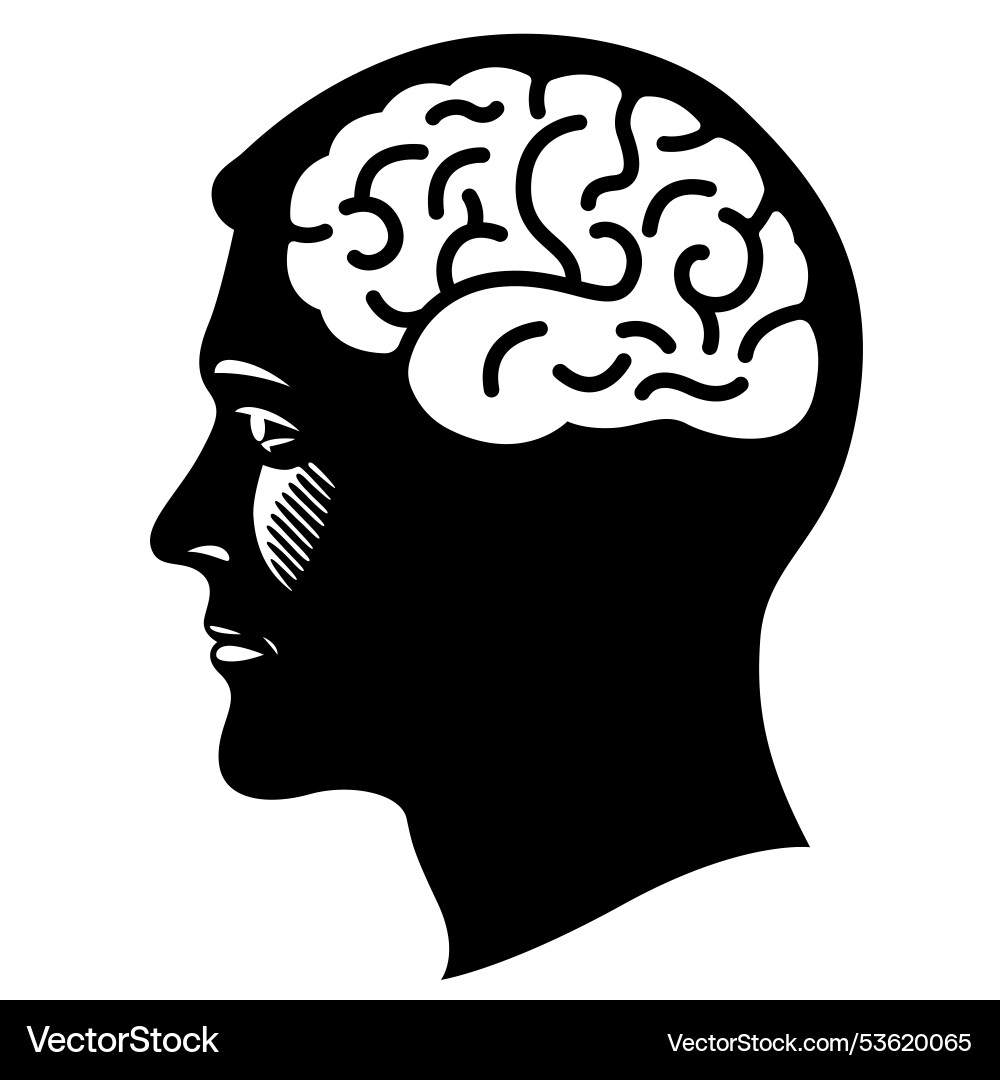 Brain graphic in a mans head Royalty Free Vector Image
