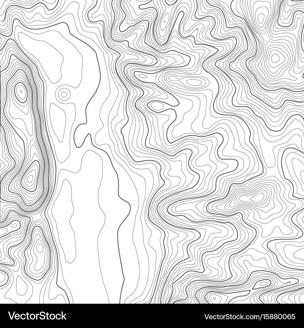 Detailed Topographic Map Background Royalty Free Vector