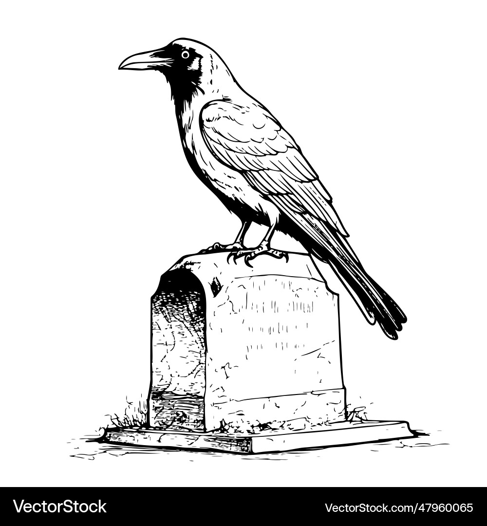 Raven sitting on the grave hand drawn sketch Vector Image