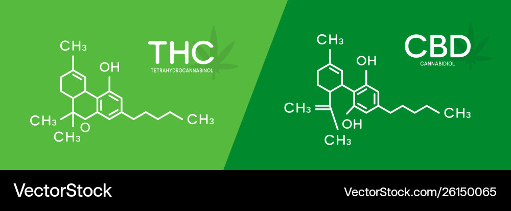THC and CBD Molecule Structure Royalty Free Vector Image