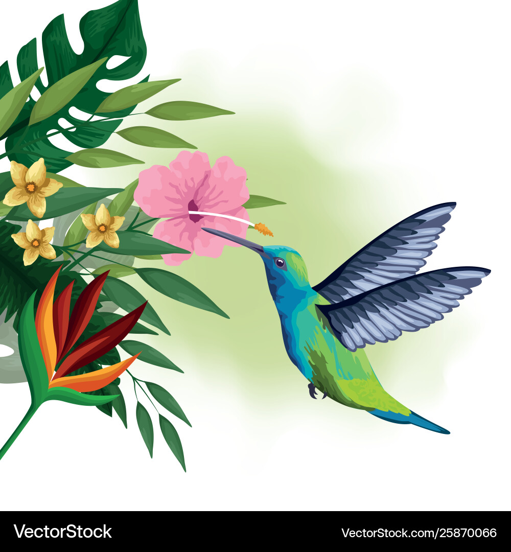 Exotic bird and tropical flowers drawing Vector Image