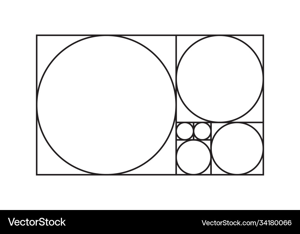 Golden ratio template Royalty Free Vector Image
