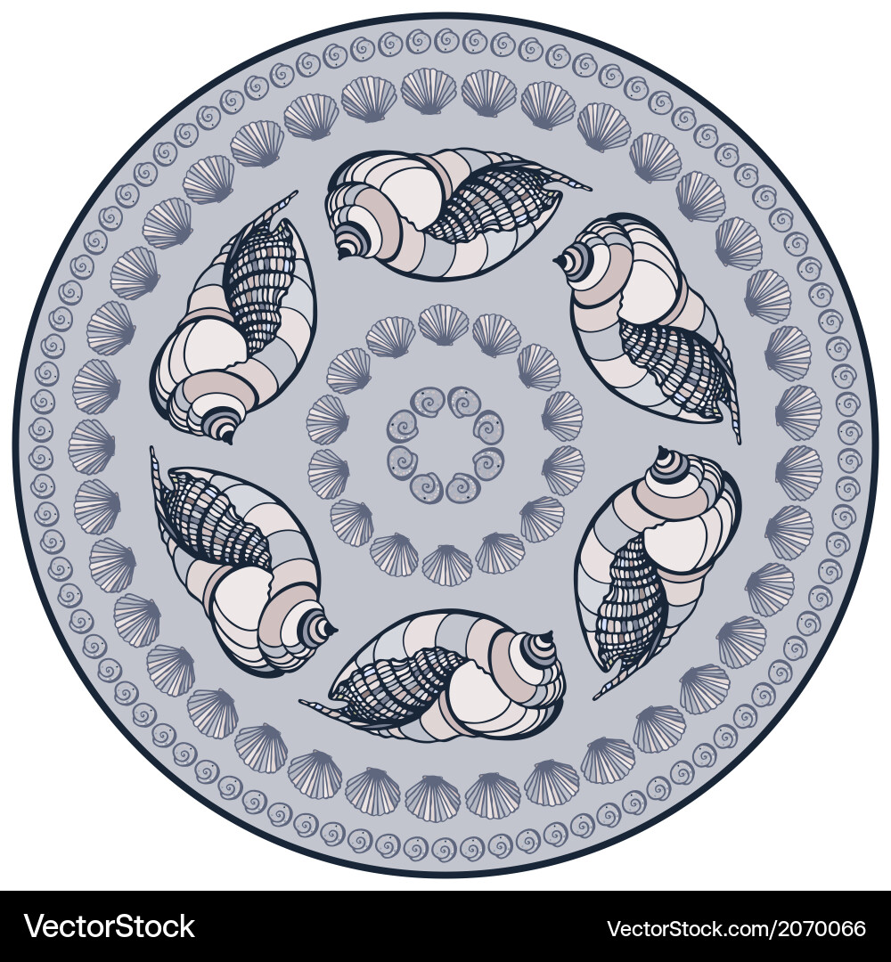Mandala made of seashells Royalty Free Vector Image