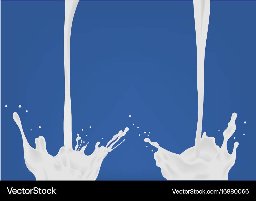 Pouring milk two white flow and splash colorful Vector Image