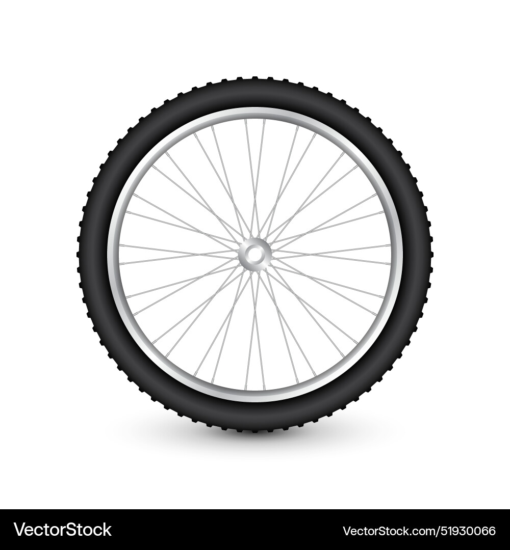Realistic Bicycle Wheel Royalty Free Vector Image