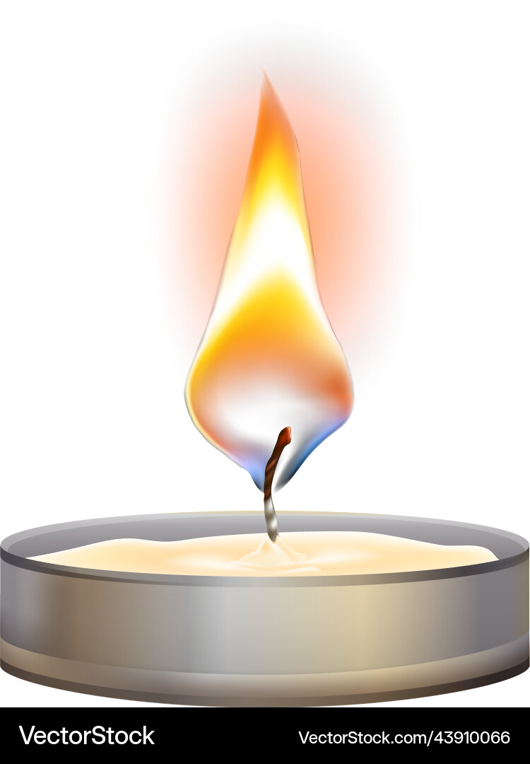 Realistic flame decorative candle mockup burning Vector Image