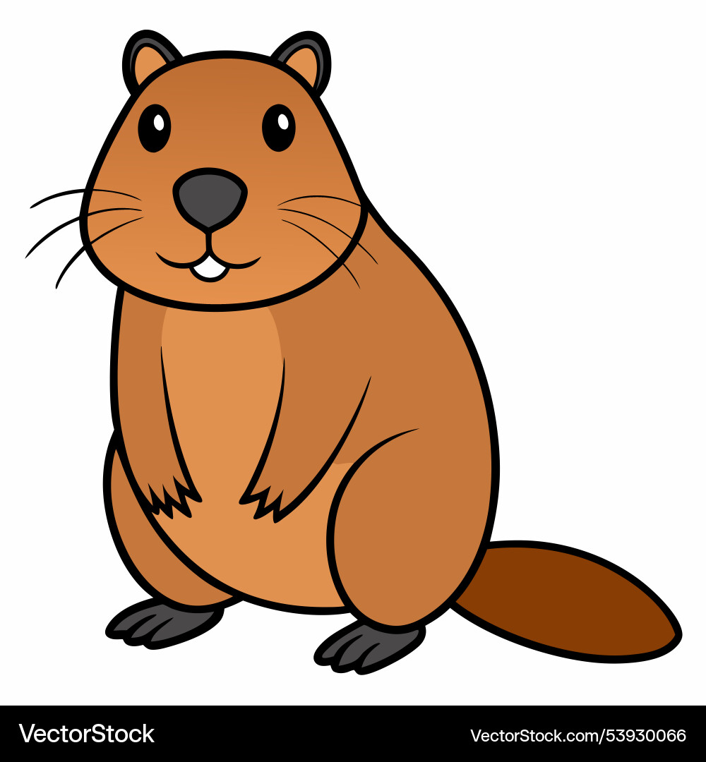Rodents animal flat on white background Royalty Free Vector
