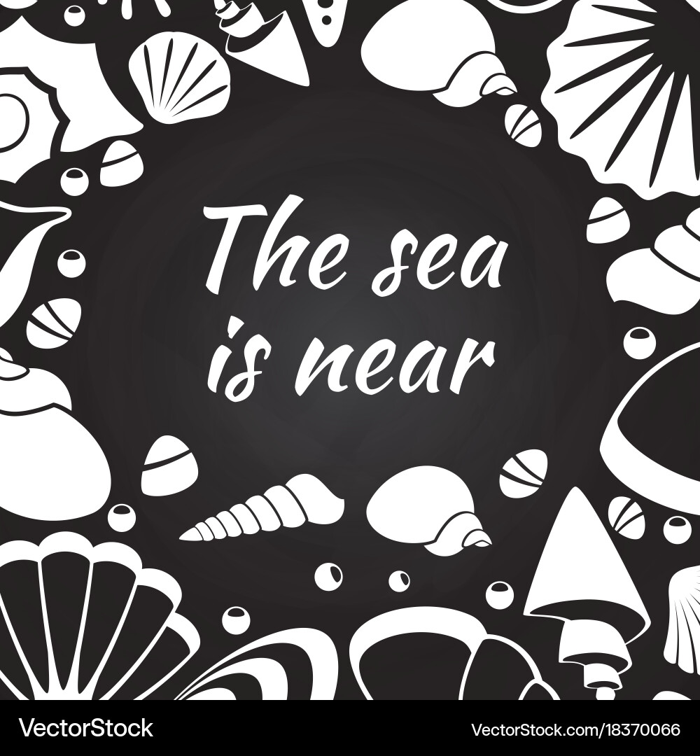 Seashells chalkboard poster design Royalty Free Vector Image