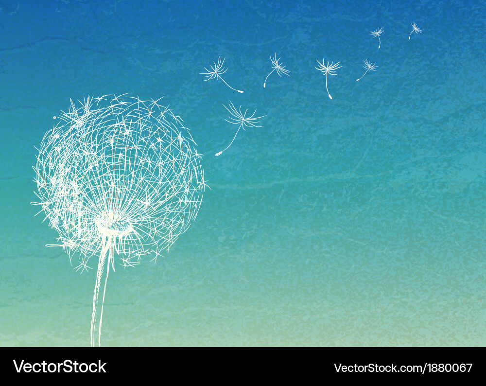 Abstract vintage background with flower dandelion Vector Image