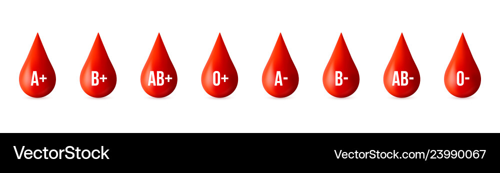 Creative of blood type group Royalty Free Vector Image