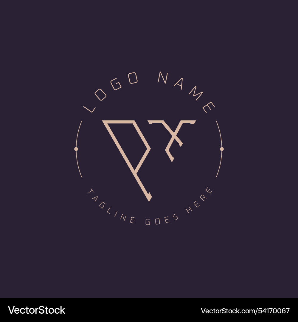 Professional px logo modern minimal letter Vector Image