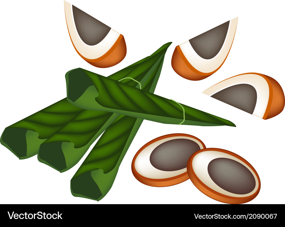Ripe areca nuts and betel leaves Royalty Free Vector Image