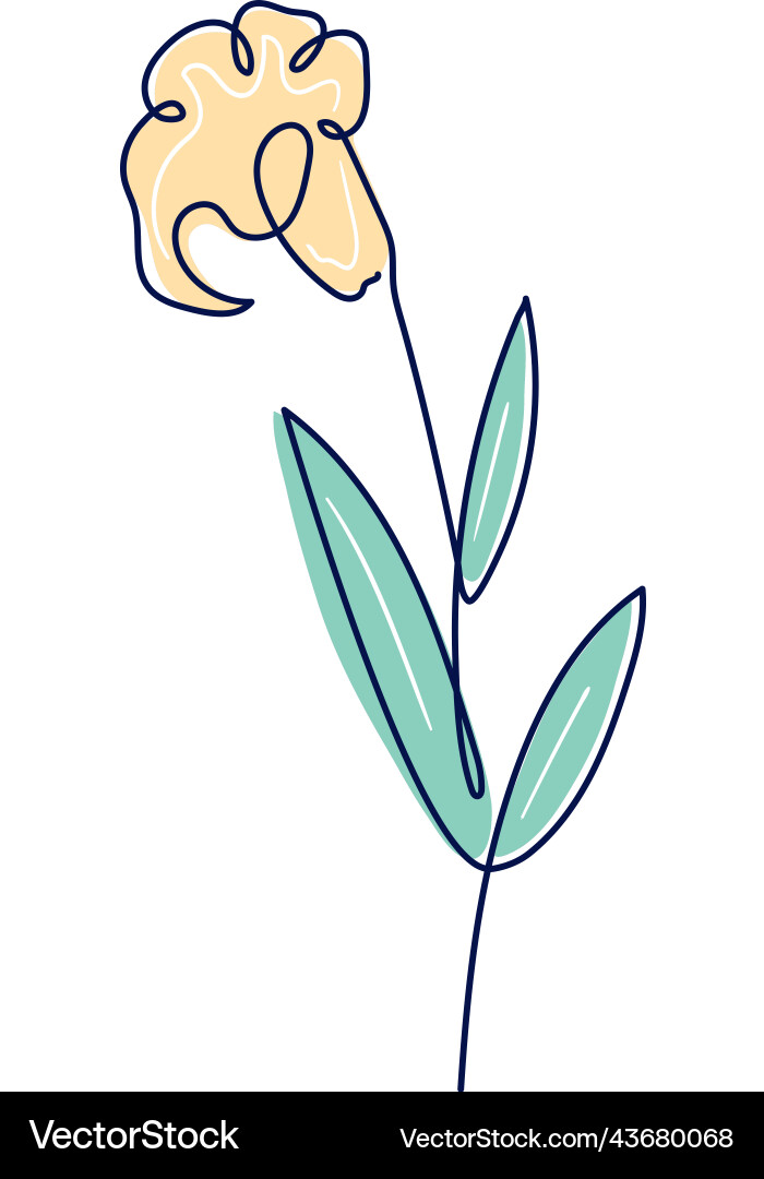 Beauty one line flower Royalty Free Vector Image