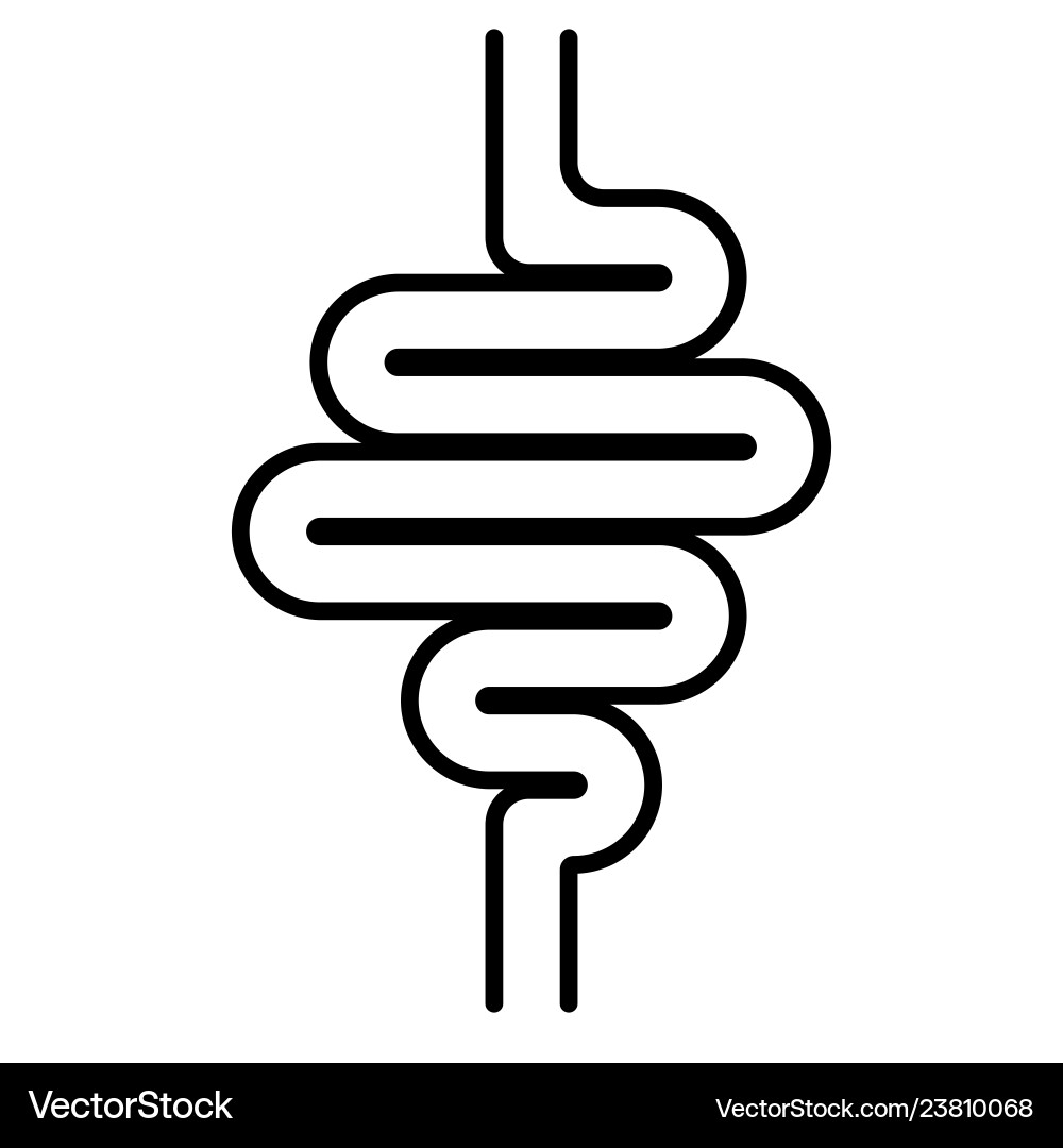 Digestive System Icon Royalty Free Vector Image